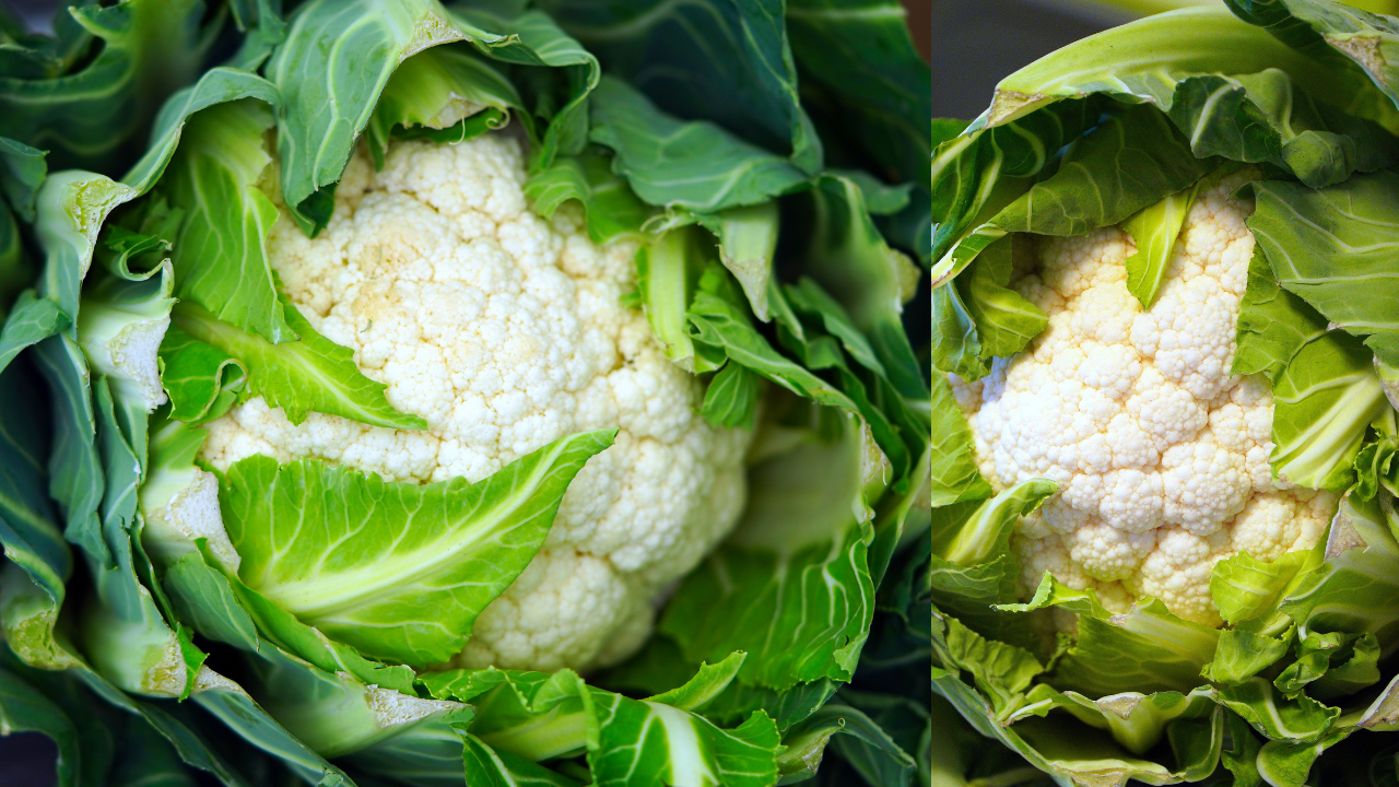 Grow Delicious Cauliflower (Phool Gobhi) at Home: Easy Planting Guide!