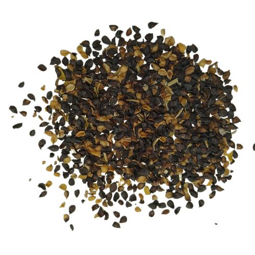 Carnation seed store