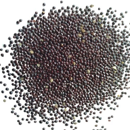 Chaulai Lal Saag Red Amaranth Vegetable Seeds